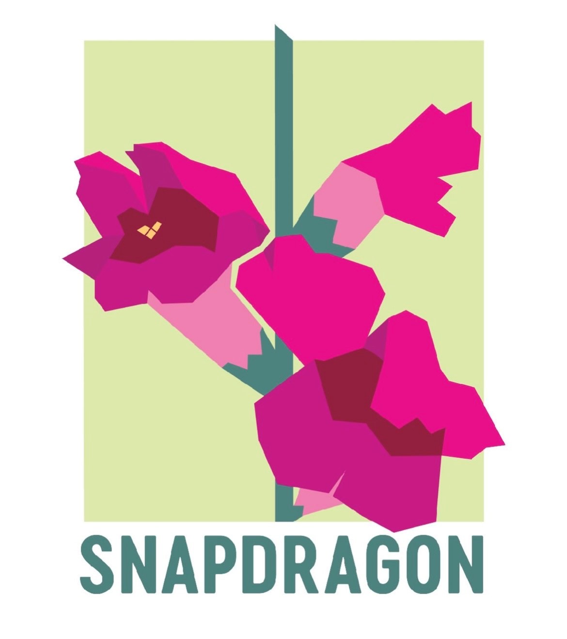 Snapdragon Fund – The Andy Warhol Foundation for the Visual Arts